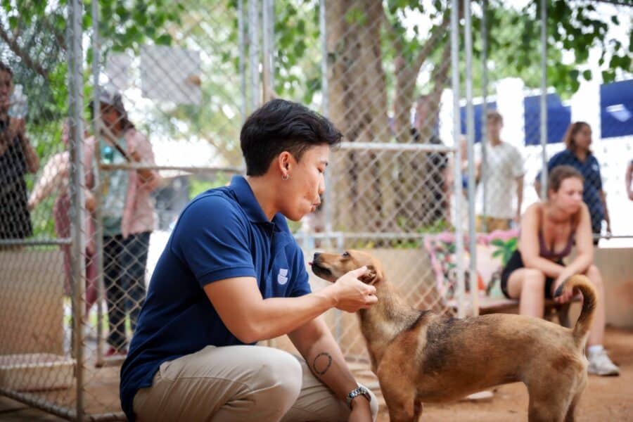 อาสาจูงหมา เล่นกับแมวที่ Soi Dog - Eisai's hhc Thailand